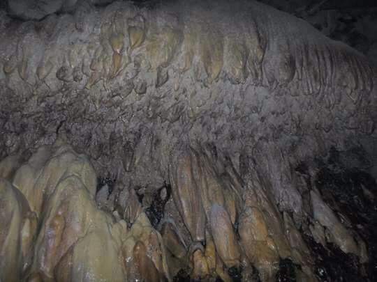 Batu Katak